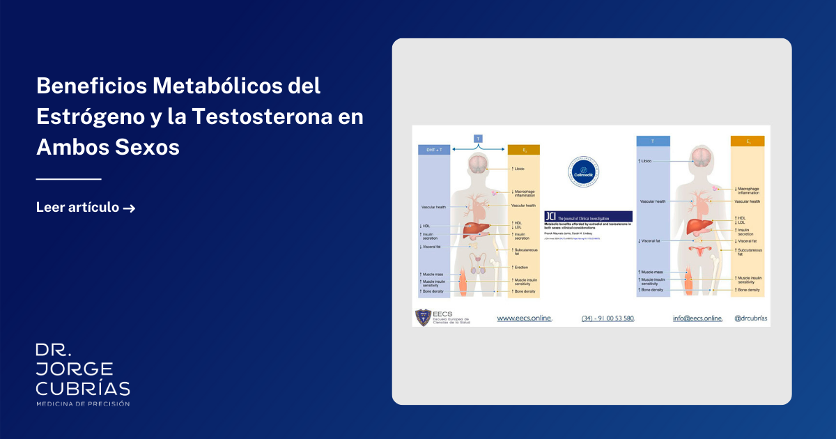 Beneficios Metabólicos del Estrógeno y la Testosterona en Ambos Sexos